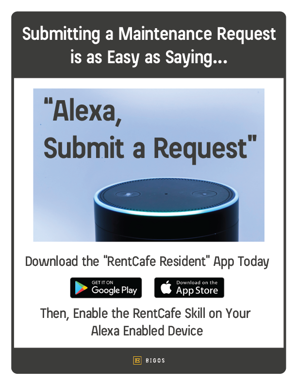 Alexa Flyer – Team Bigos Store