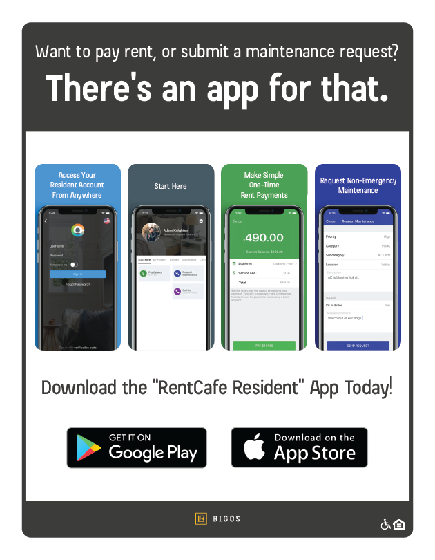 RentCafe App Flyer – Team Bigos Store